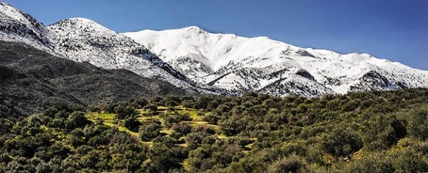 Tavronitis Crete: All You Need to Know by Locals!