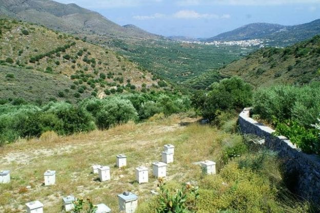 Ideon Cave or Ideon Andron - Crete - The birthplace of Zeus