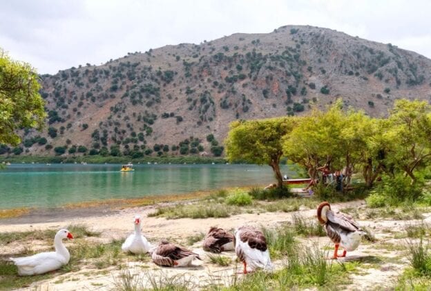 Kournas Lake - Visit Lake Kournas, the only freshwater lake in Crete Island