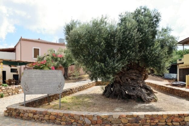 Fascinating Facts about Crete: Basic, Historical and Cultural Information