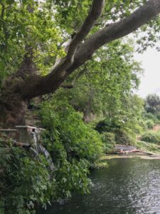 Argyroupolis Crete: Things to Do, History, Travel Guide and Car Rental