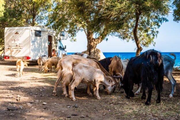 Camping in Crete: Where to enjoy the best Crete Camping Sites