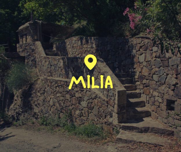 Milia Traditional Village: A Hidden Ecological Resort in White Mountains