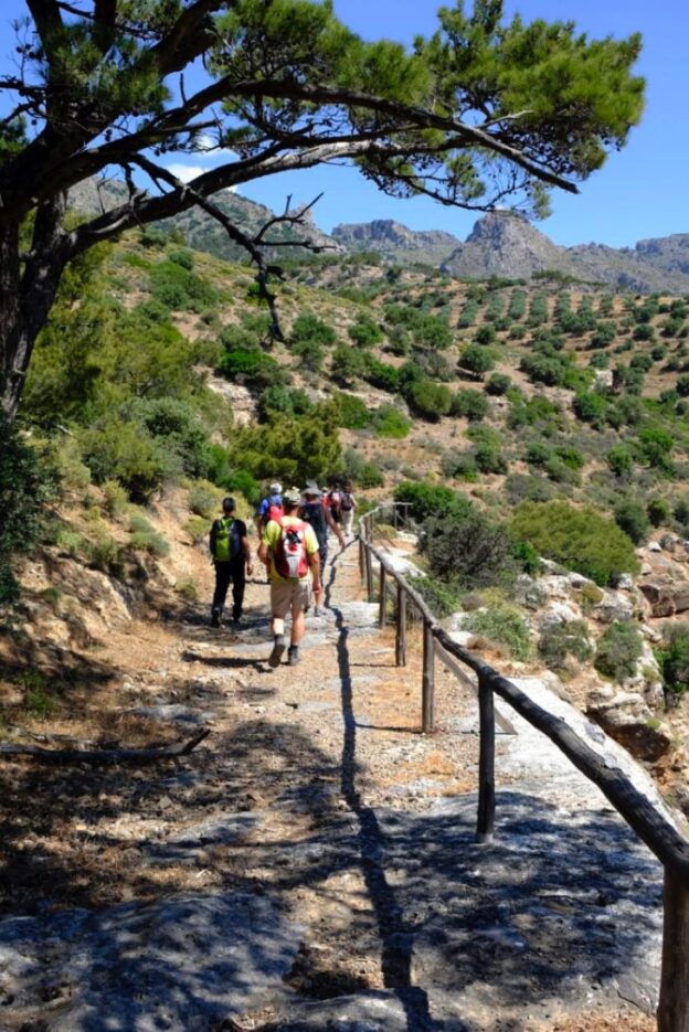 Pefki Gorge: Hiking, Map, Attractions and Crete Car Rental