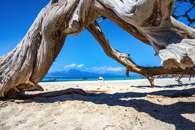 Chrissi Island: Tours, Activities and Car Rental Guide