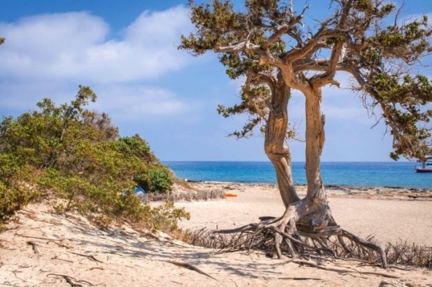 Chrissi Island: Tours, Activities and Car Rental Guide