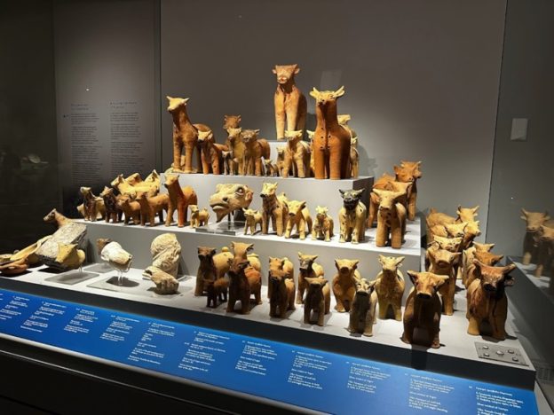 Chania Archaeological Museum: What to See, History and How to Get There