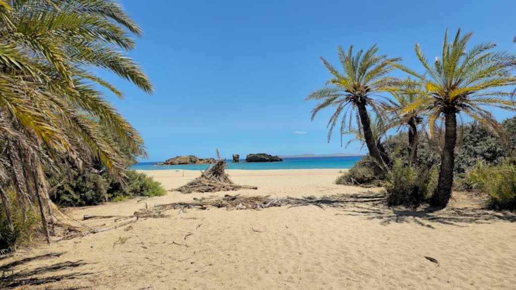 Crete or Naxos: Which Greek Island is Best for You?